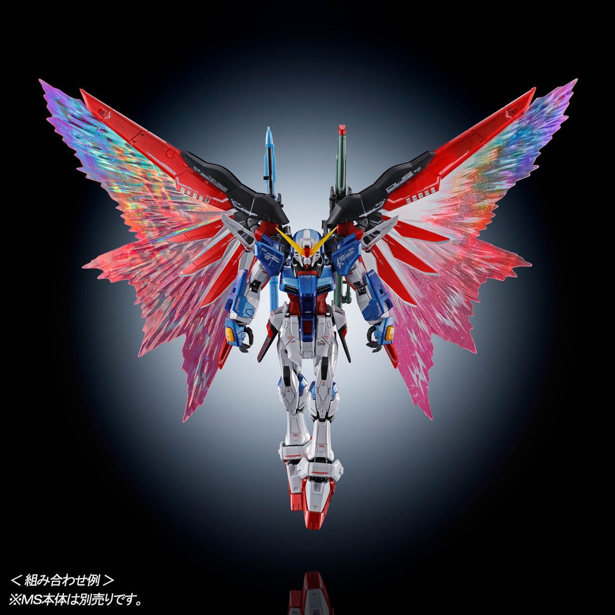 RG 1/144 Destiny Gundam Effect Unit "Lightning Wing" | J-Toys Collectibles